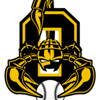 Ohio Sting Baseball – Travel Baseball